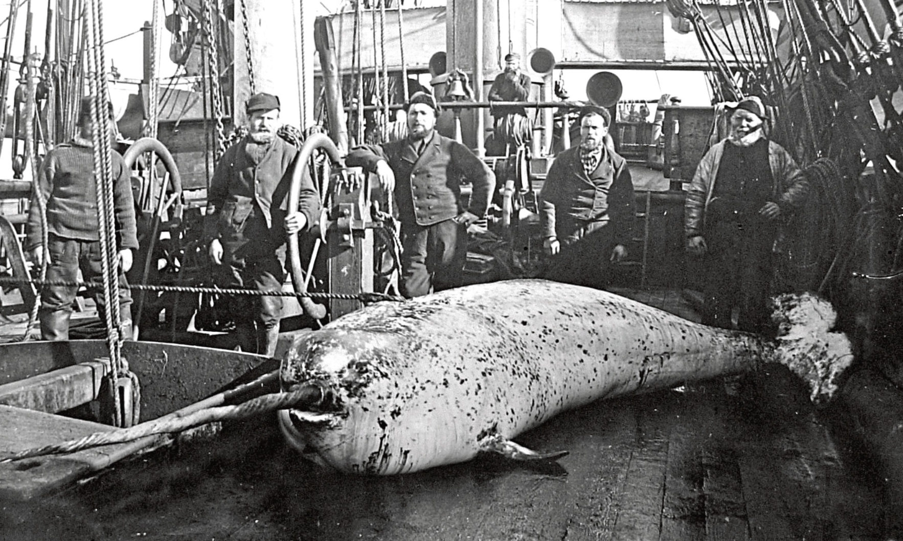 Dundee's rich and varied history to be discussed in series of events ...