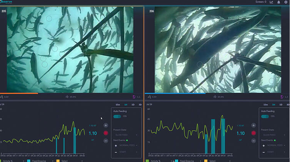 AKVA takes stake in AI firm Observe - Fish Farmer Magazine