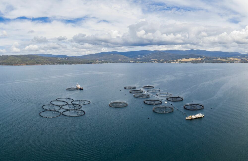 Tasmanian fish farming set to expand offshore - Fish Farmer Magazine