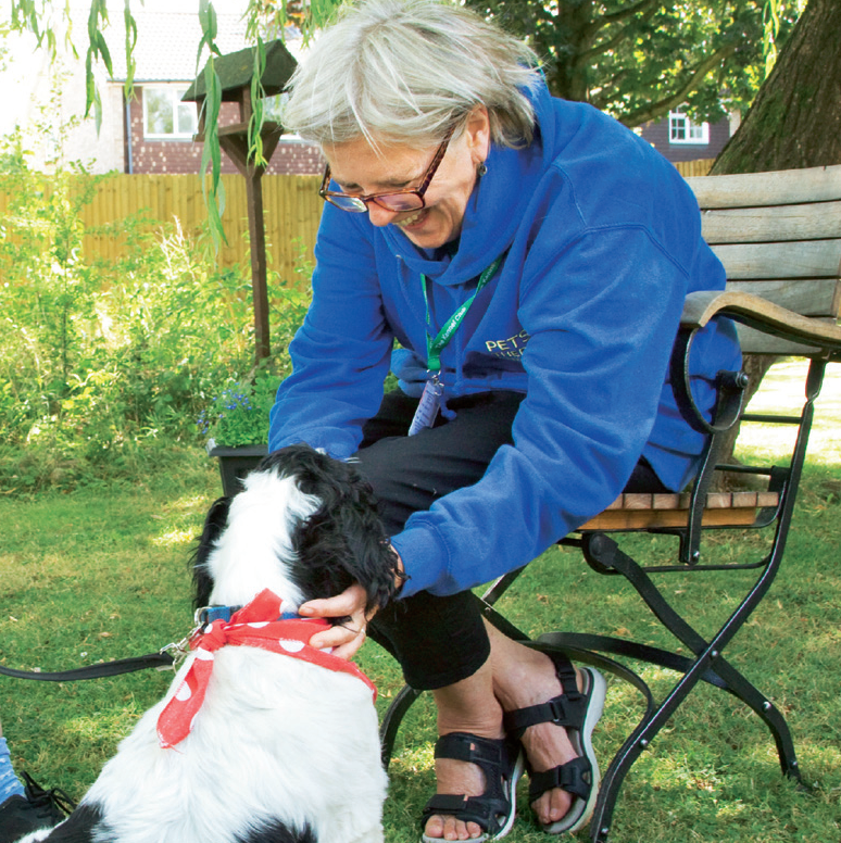 The PAT Temperament Assessment - The People's Friend