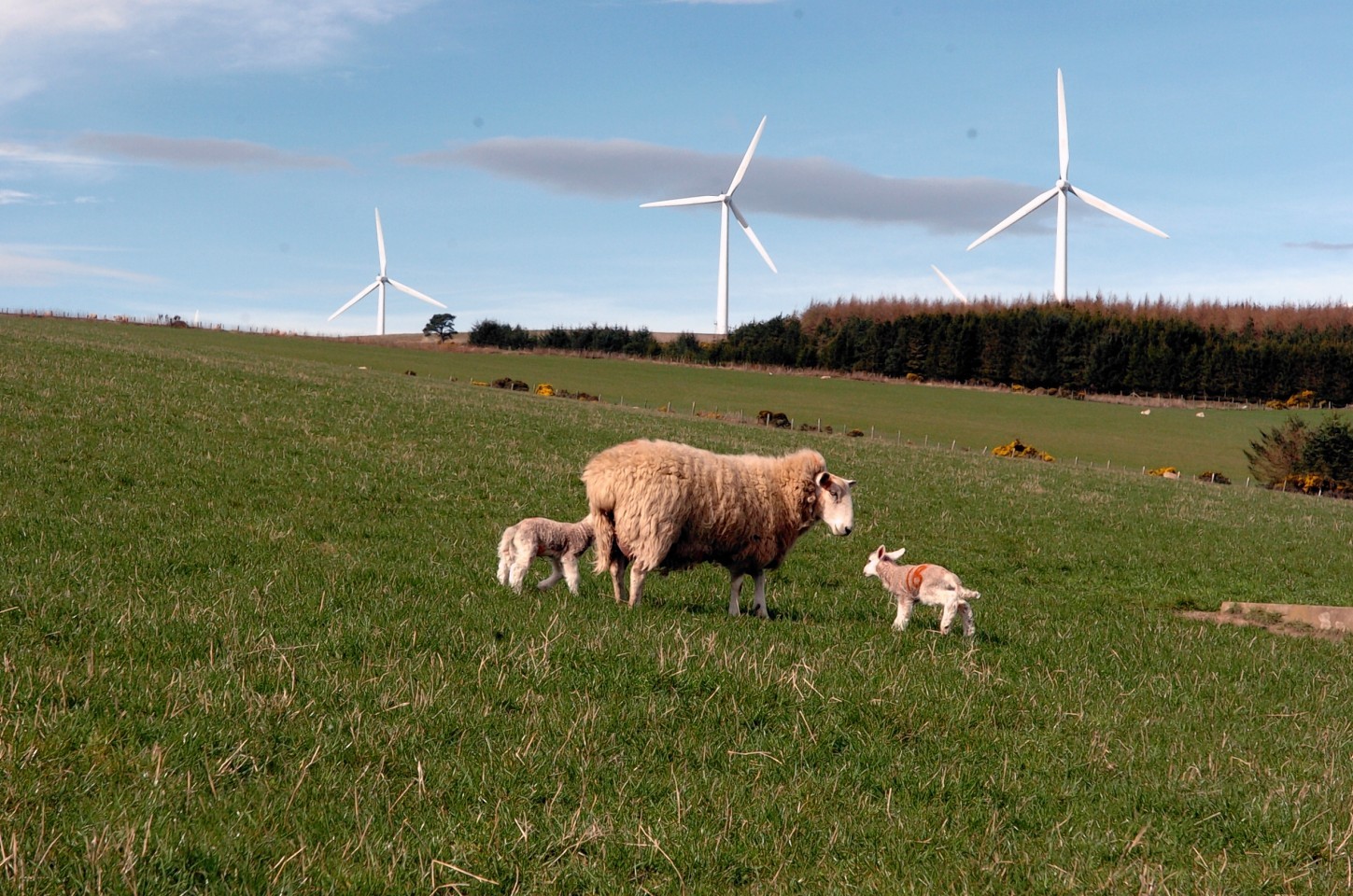 Ensuring farm payments only go to active farmers remains a challenge