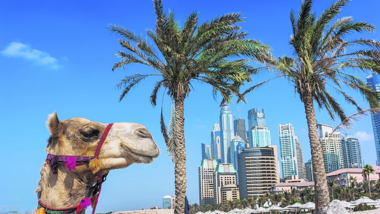 Lifestyle: Taking small steps in Dubai | Press and Journal