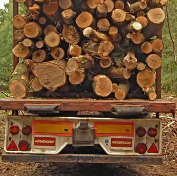 New forest road removes timber lorries from Skye route - Press and Journal