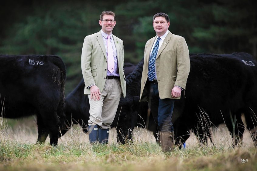 Aberdeen-Angus Society readies to bring World Angus Forum to Scotland