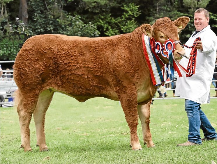 Miss Money Penny worth every guinea as sun shines on Banchory Show ...