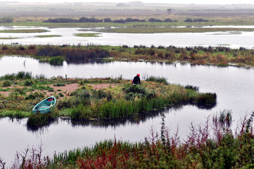 Loch of Strathbeg hide officially opens - Press and Journal
