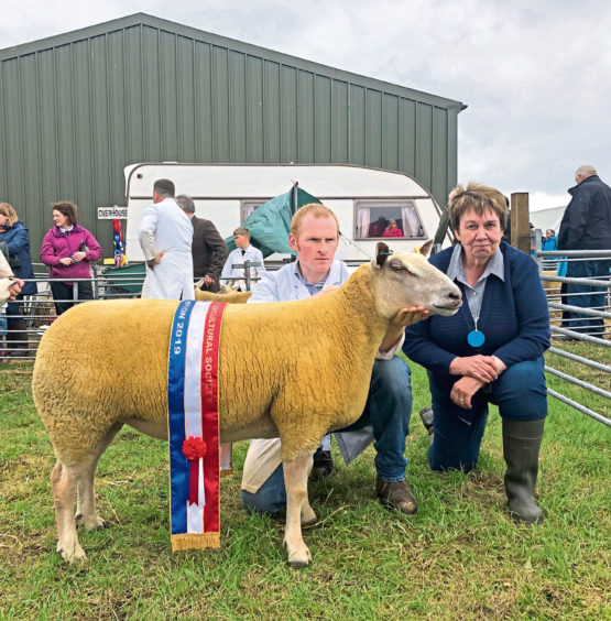 Charollais gimmer grabs limelight at Dounby Show - Press and Journal