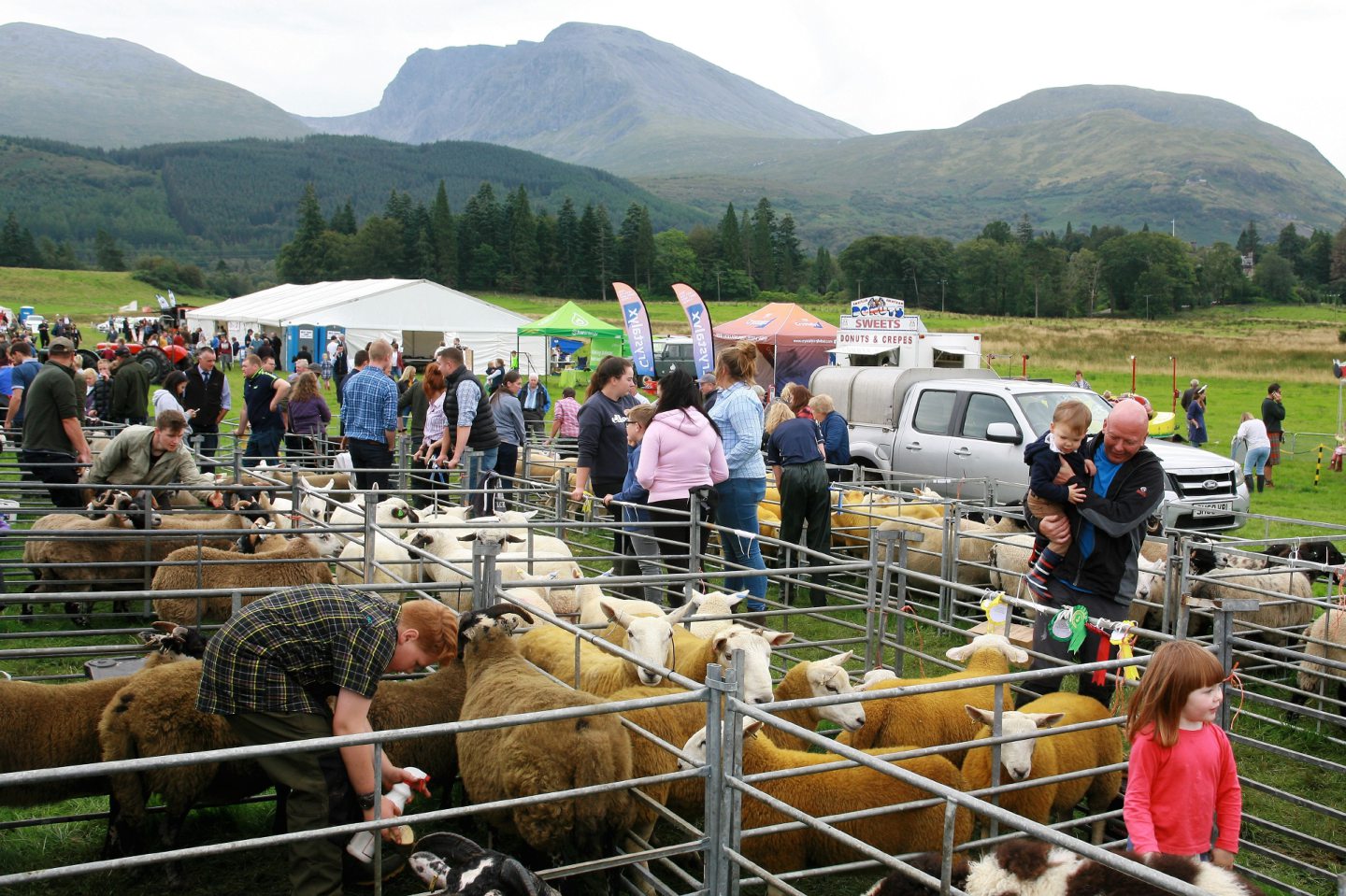Crowds enjoy day of crafts, food and animals in celebration of the ...