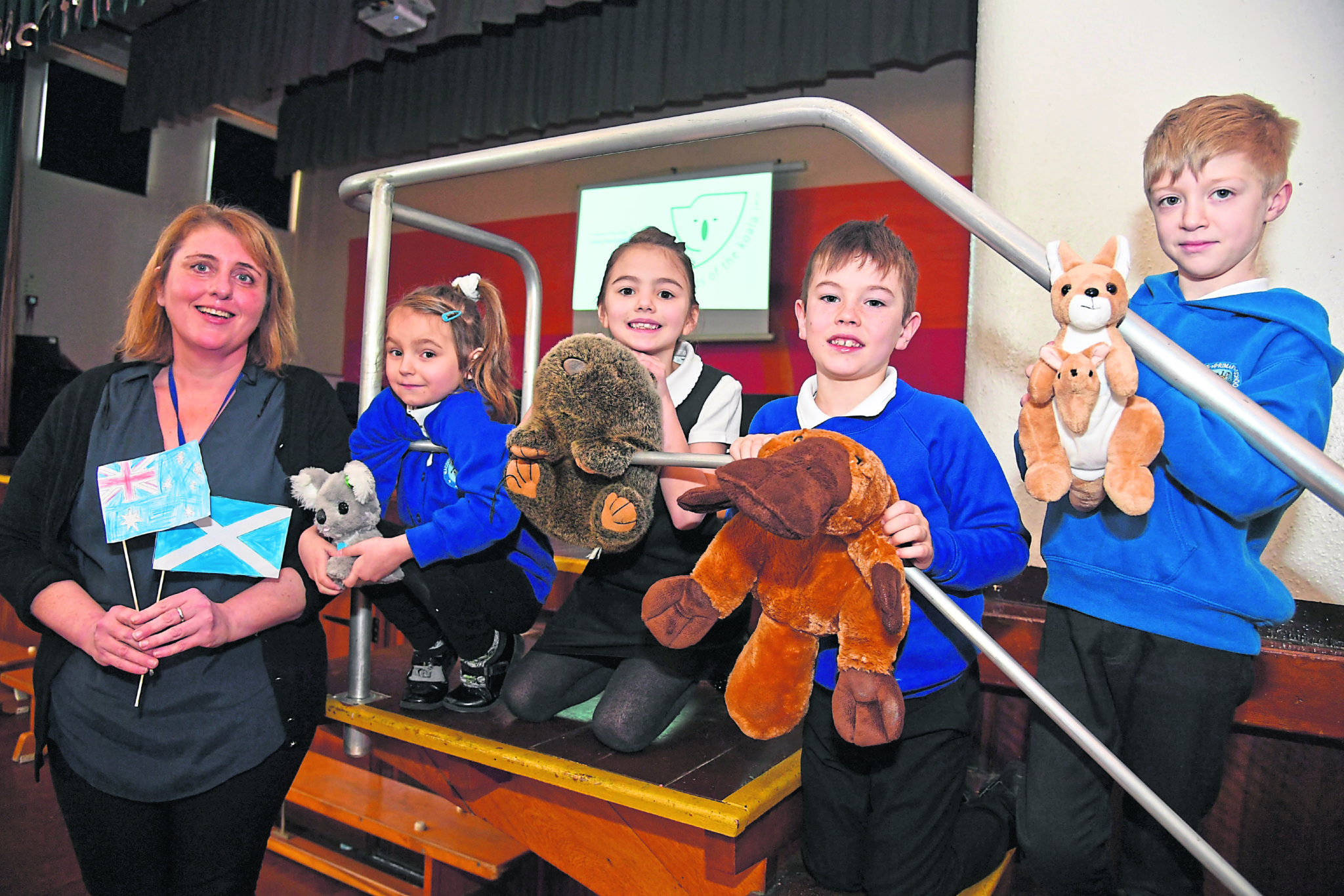 Macduff pupils raise more than £1,200 to help koalas and Australian ...