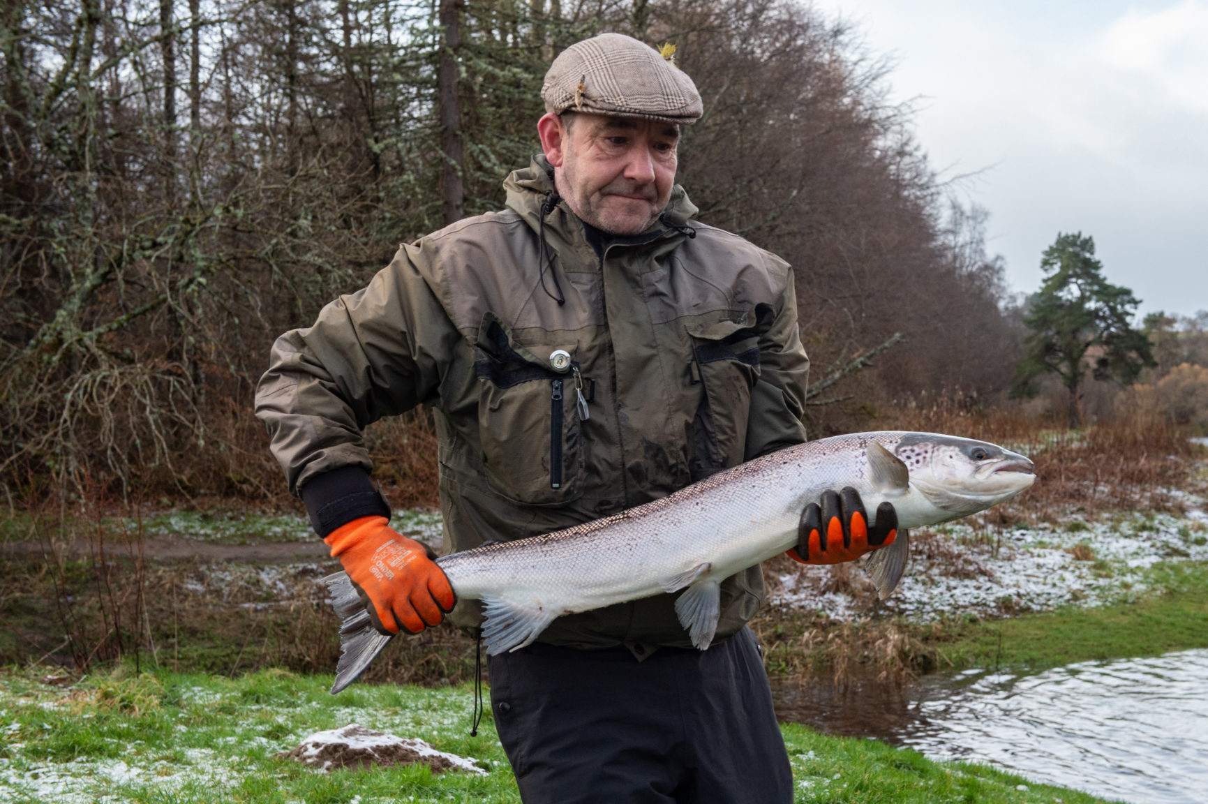 Leap in salmon catches provides optimism for River Spey anglers
