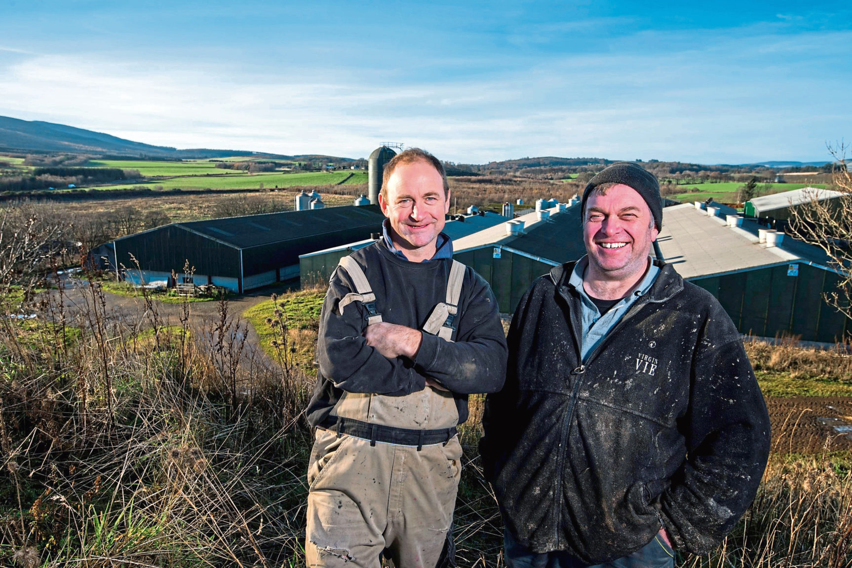 Monitoring project success at pig farm - Press and Journal