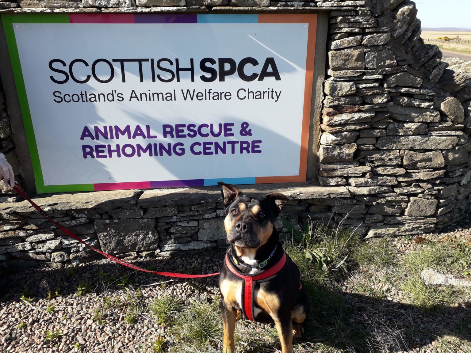 Scottish SPCA welcomes £1,000 grant to safeguard welfare of Highland ...