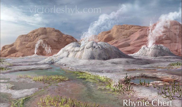 New research reveals Rhynie 407 million years ago and some of earliest ...