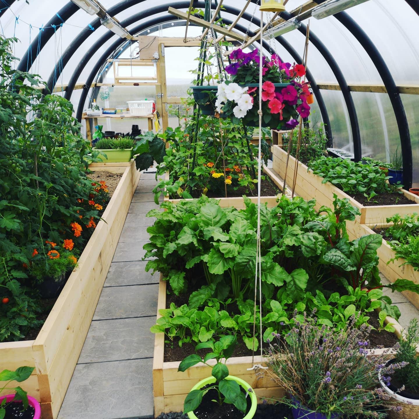 Polycrub: The inspiring story of the storm strength polytunnels