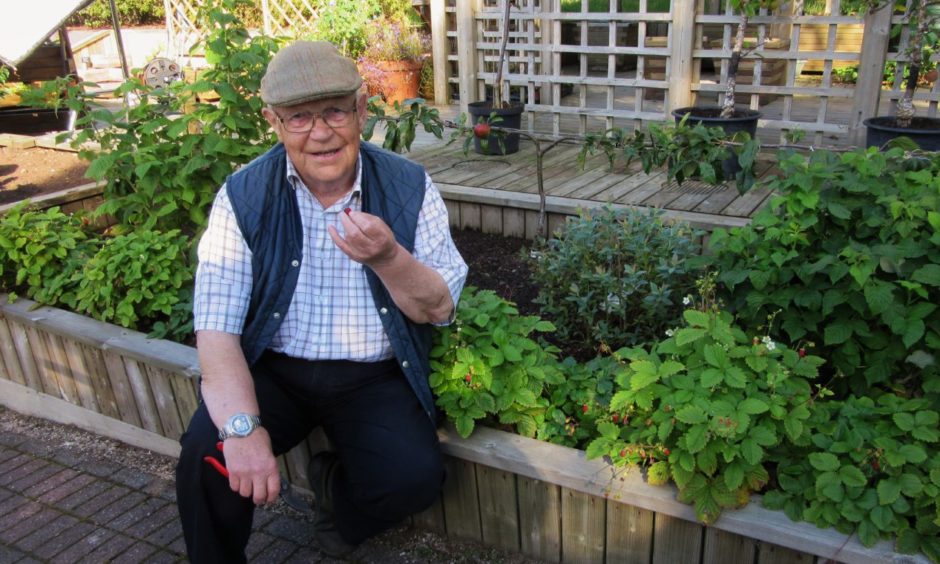 Obituary: Beechgrove gardening great Jim McColl has died at 89