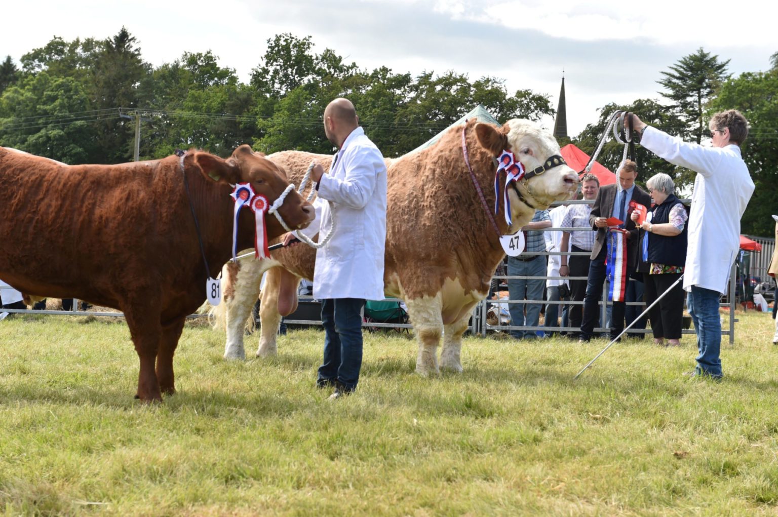 Our guide to summer agricultural shows in the north and north-east ...