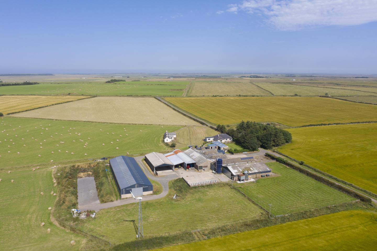 Wester Olrig Farm in Caithness launched to the market for offers over £ ...
