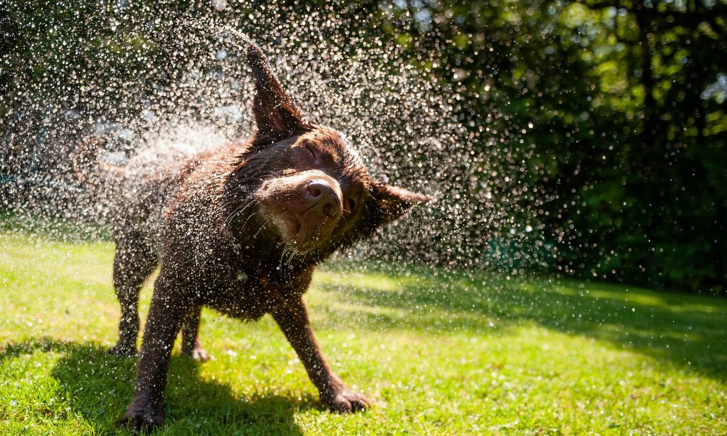 Science behind 'outdoor smells' suggests we're all unique