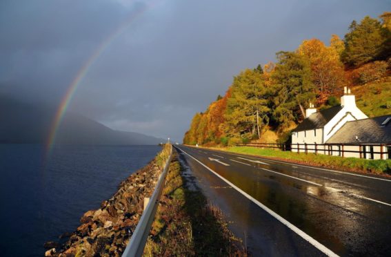 Science behind 'outdoor smells' suggests we're all unique