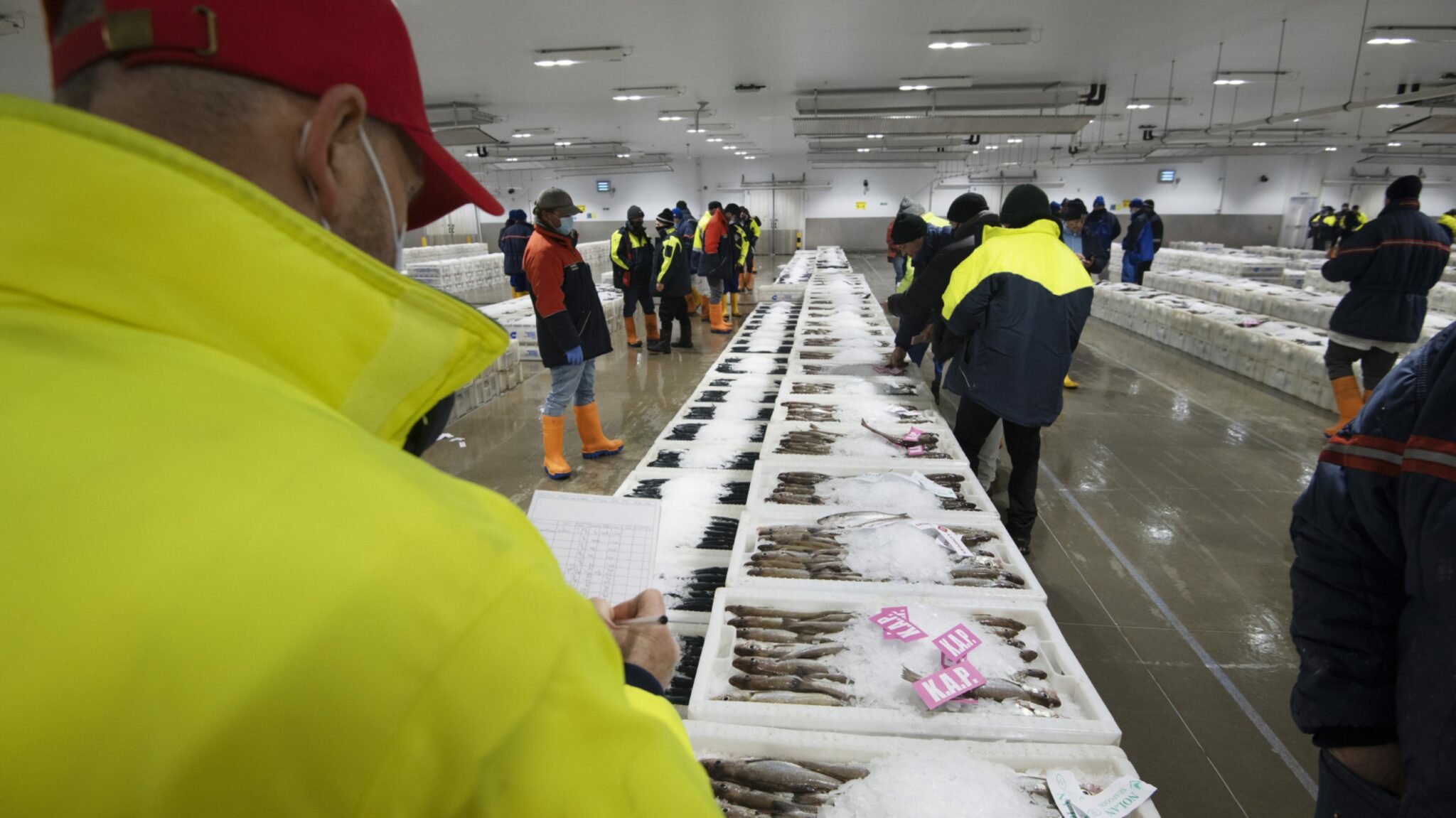 Peter Tosh of Caley Fisheries retires after 55 years in the industry