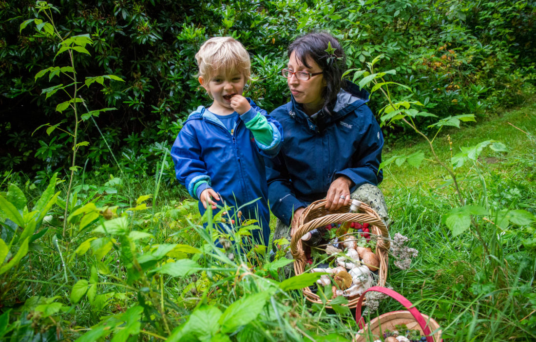 Online Family Foraging Course - The Scots Magazine