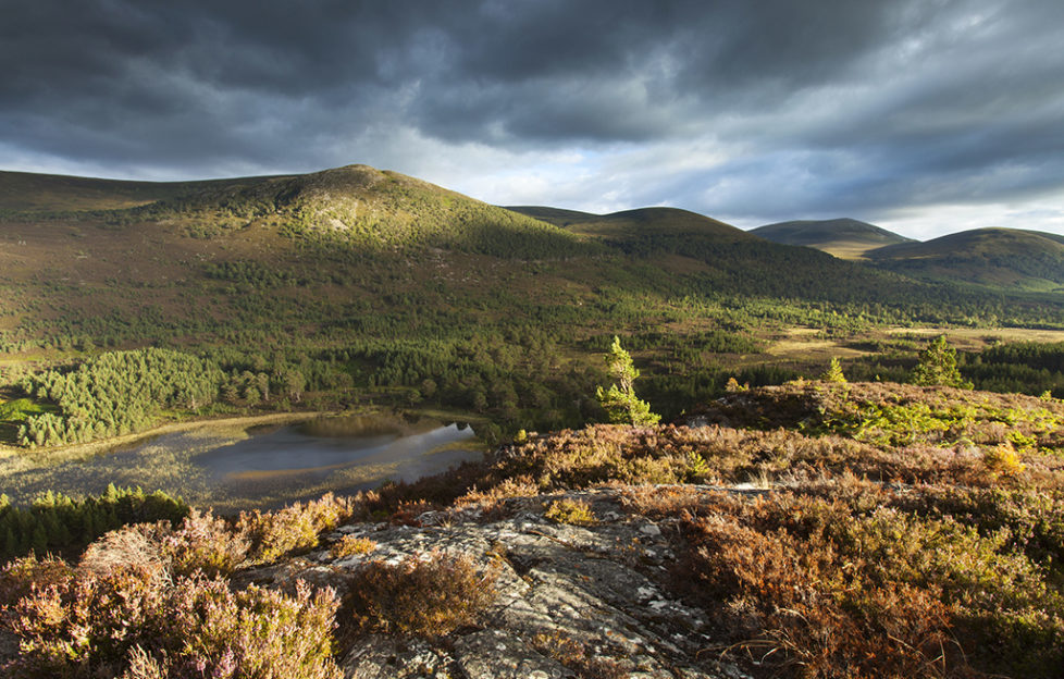 15 good Gaelic facts you probably never knew - Scottish Field