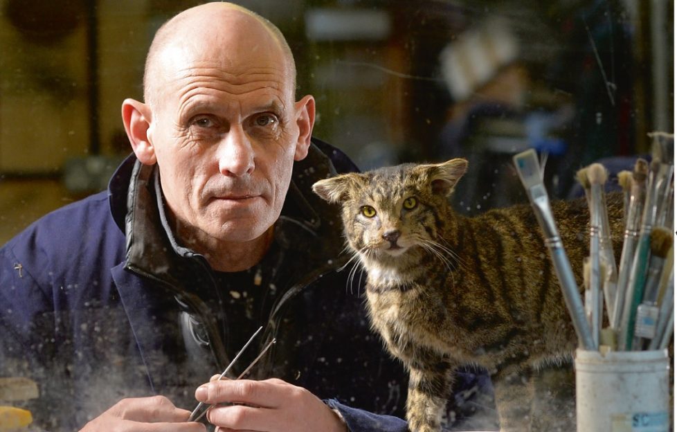 Taxidermist George is keeping the memory of animals alive - Scottish Field