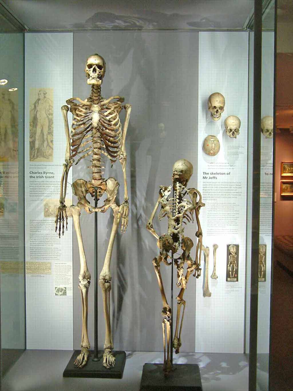 John Hunter left a body of work behind him - Scottish Field