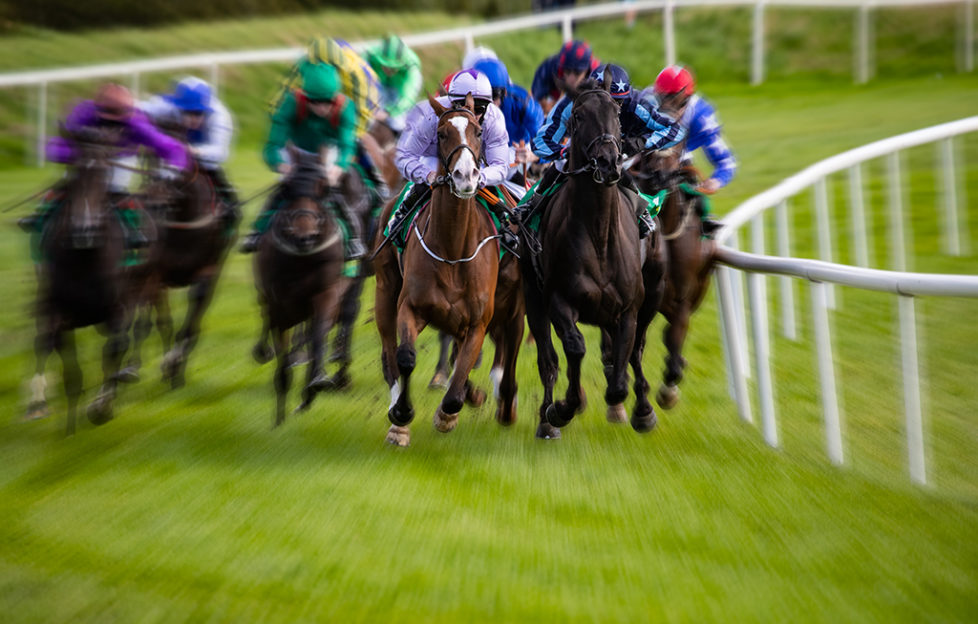 Free entry to under-18s at Scottish racecourses - Scottish Field