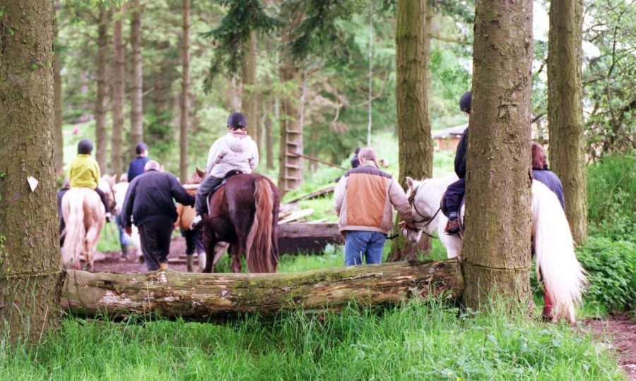 Aberdeen: 13 things to see and do in the Granite City - The Sunday Post