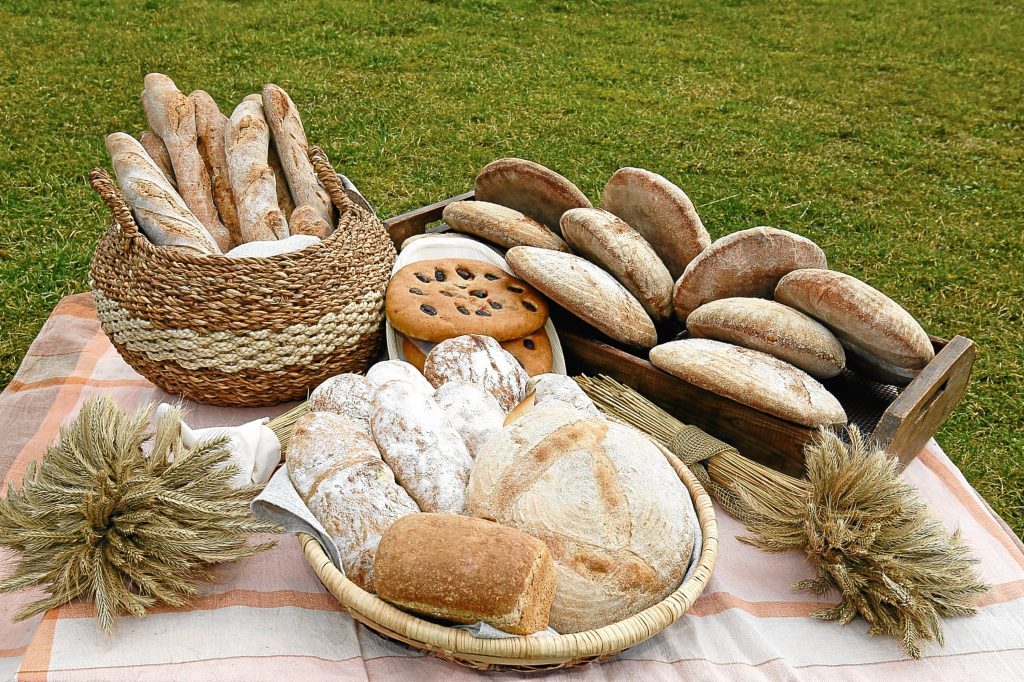 Might as well face it... we’re addicted to loaf! Today marks the start ...