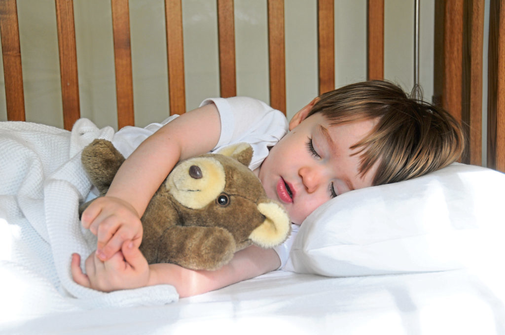 The Honest Truth: Mother Nature (and owls) know best – a decent snooze ...