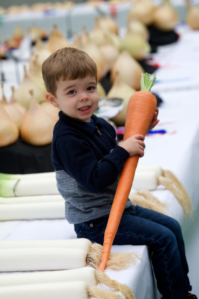 In pictures: Gardeners set to show off their prized produce at giant ...