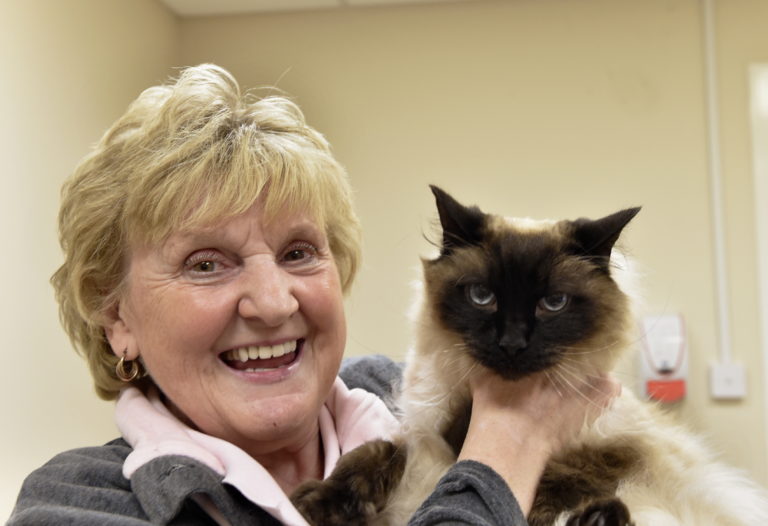 Vets warn of lily poisoning after Coco the cat twice comes back from ...