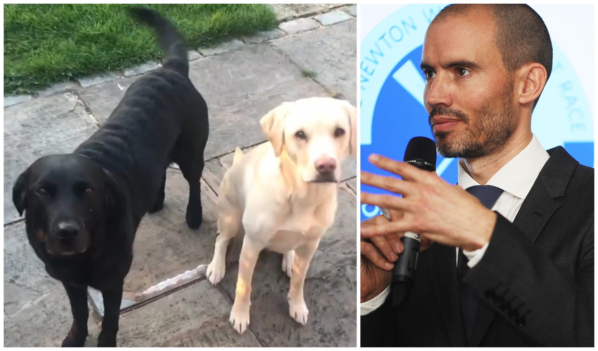 Scots commentator Andrew Cotter teams up with animal charity after his ...