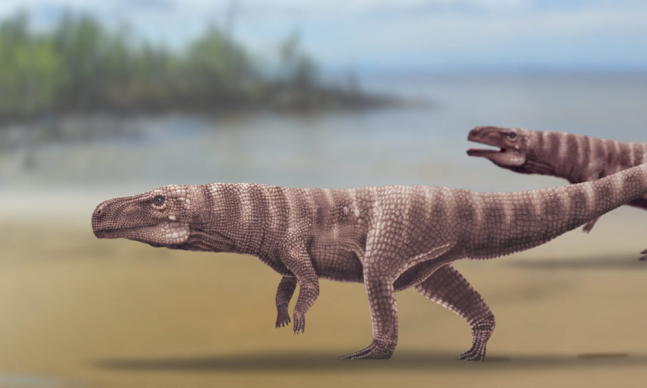 Scientists believe 120 million-year-old crocodile species 'may have ...