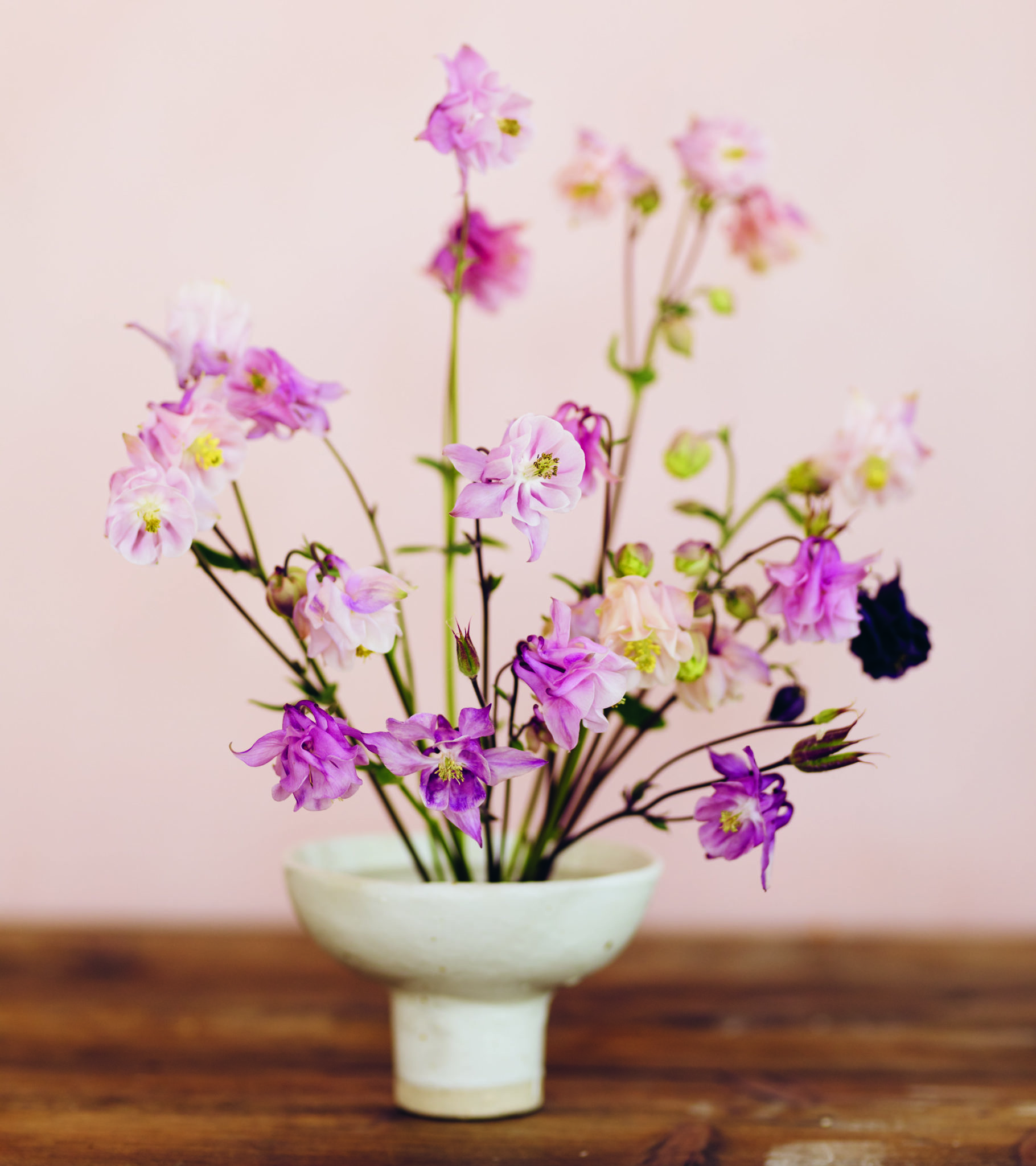 Flower power? No kidding: Florist reveals why stopping to smell the ...