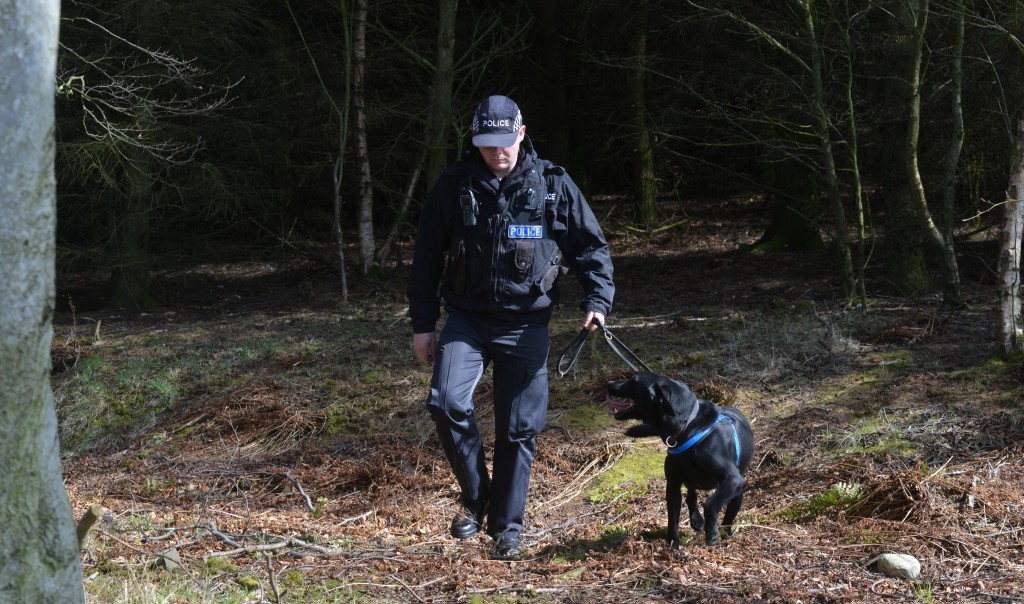 Allan Bryant disappearance: 10 leads & tip-offs probed by police