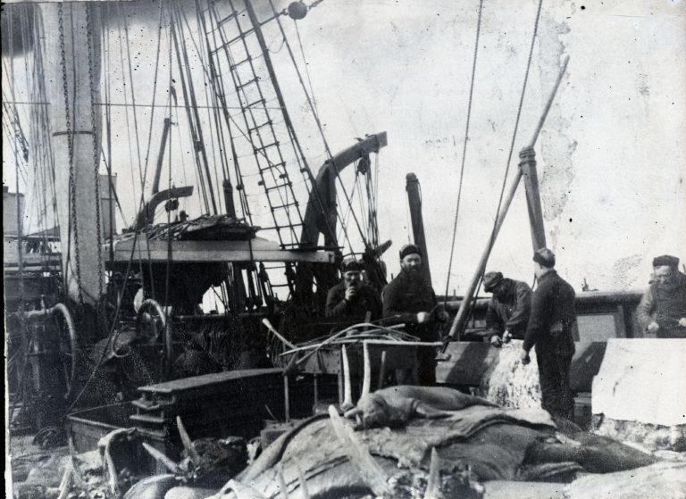 How Dundee whaling captain descendent discovered his Inuit cousin - The ...