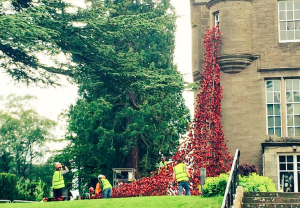 Poignant poppy display will bring 'extraordinary' benefits to Perth ...