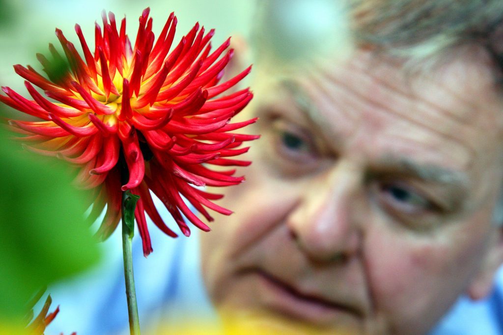 Glorious Forfar display in annual Reid Hall flower show - The Courier
