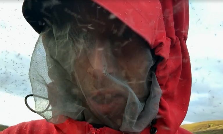 "It's a little bit midge" — Viewers are swarming to watch this video of ...