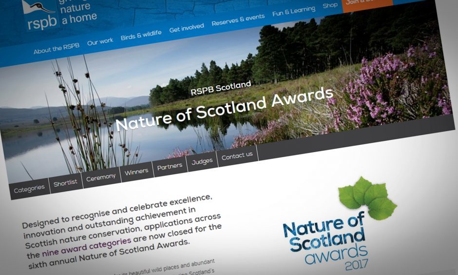 Finalists announced for RSPB Scotland awards