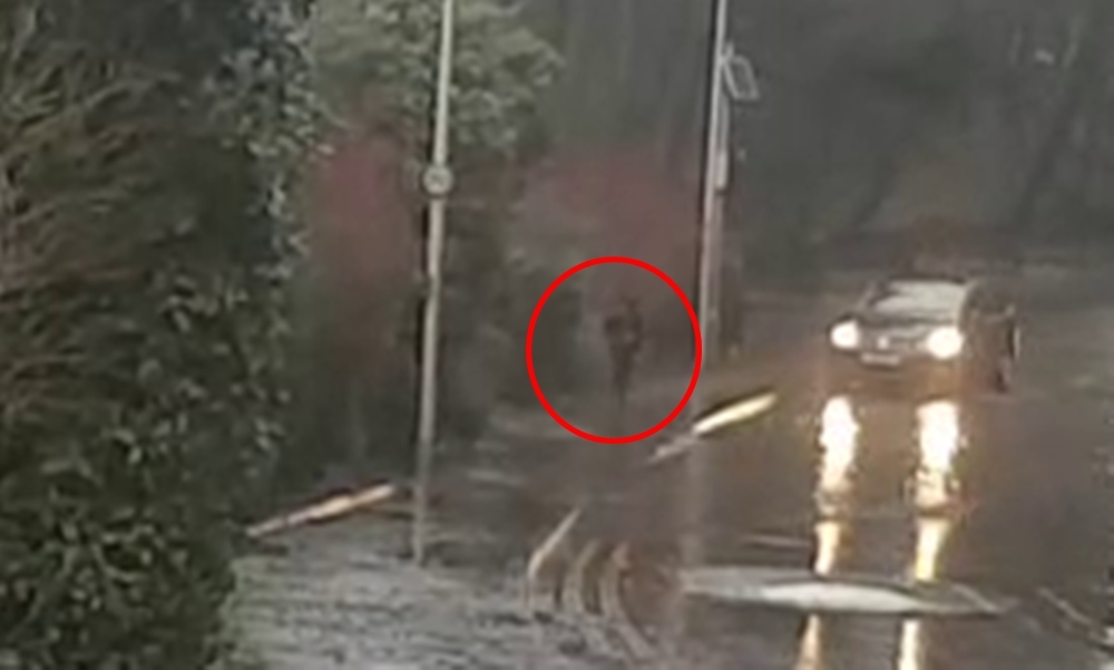 Firm apologises after van driver is caught on video mounting pavement ...