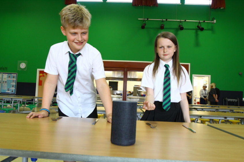 Rowantree Primary School Archives - The Courier