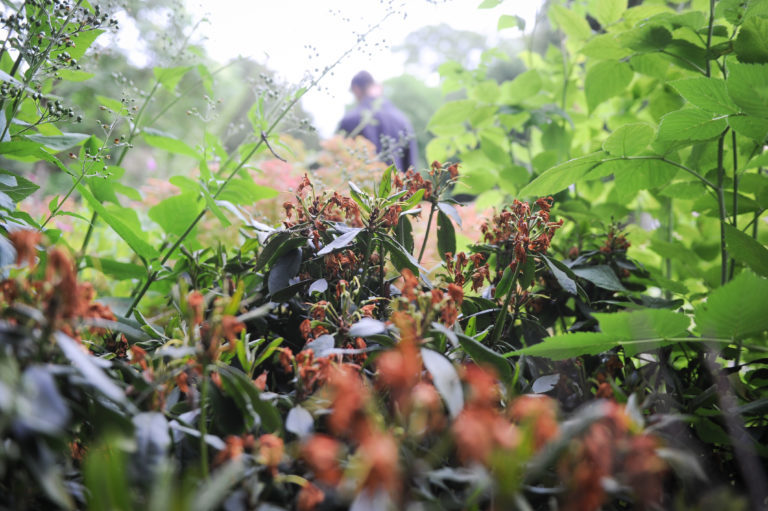 Memorials at Perth crematorium branded 'a jungle' by loved ones - The ...
