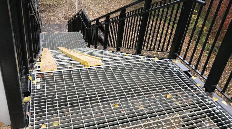 Steps leading to Moncrieffe Island to be covered after dog owners ...