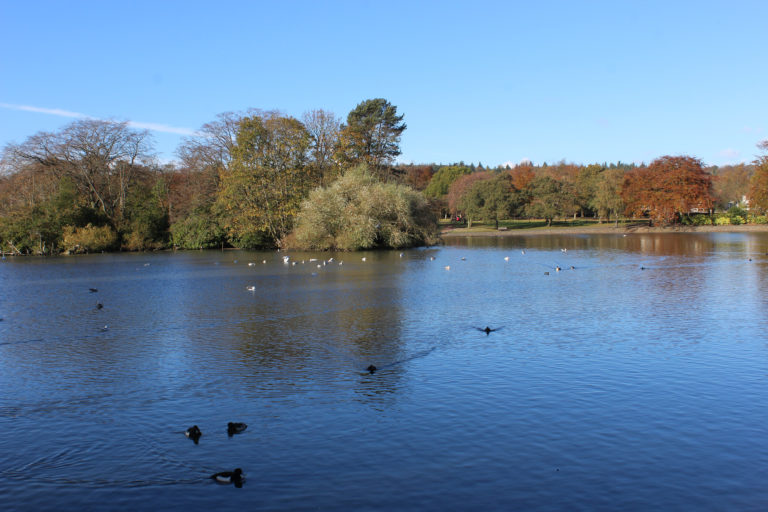 Tread the Lang Toun’s tree trails: Raith Park, Kirkcaldy, Fife - The ...