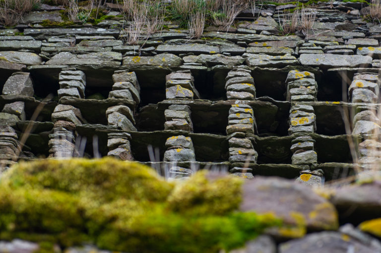 Doocots: a history worth saving - The Courier