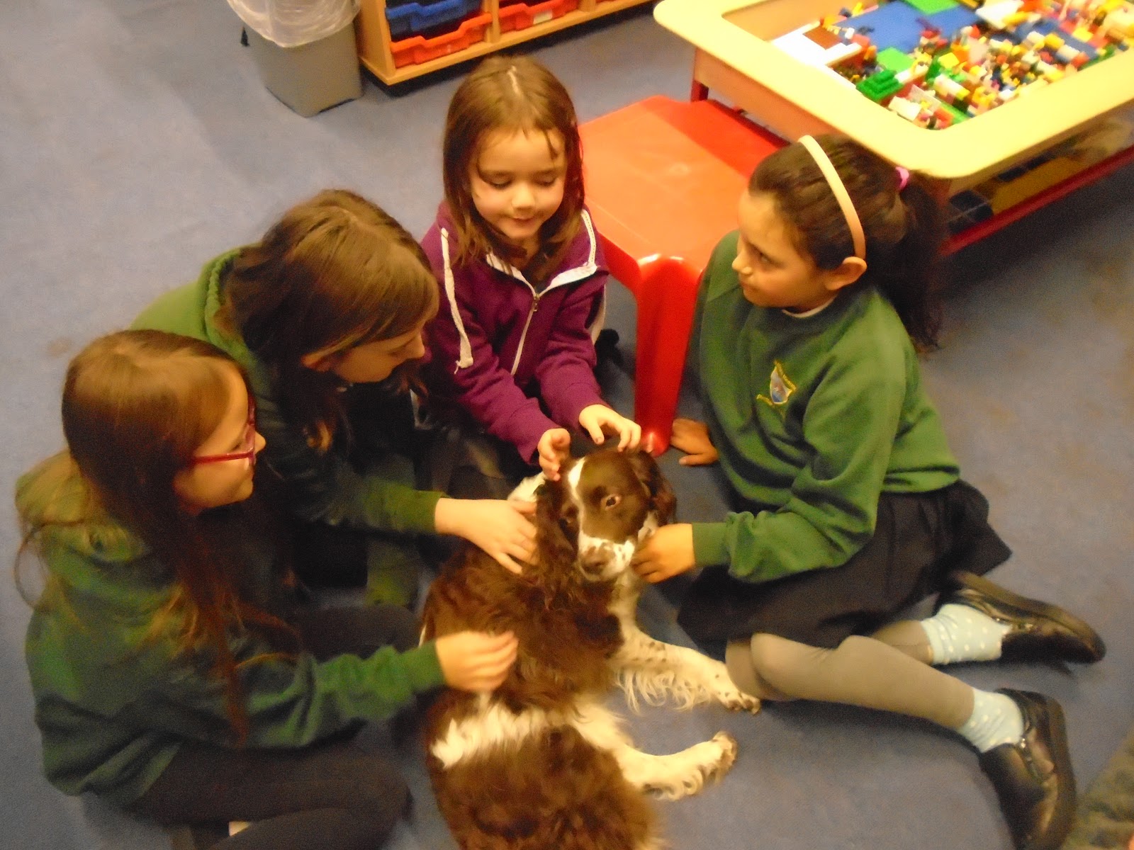 VIDEO: A Perthshire school has welcomed dogs as classmates...and they ...